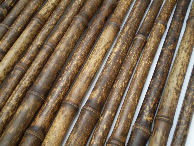 Bambuaria - Venda de Bambu